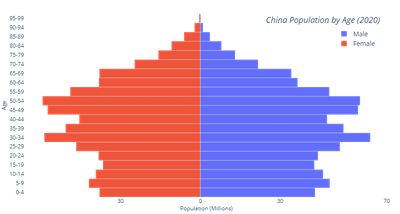 China's Population Pyramid