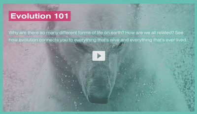 Once you are signed into the NOVA Evolution Lab, watch the Evolution ...