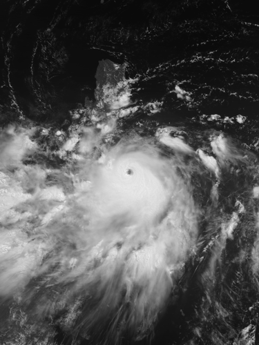 Typhoon Frank