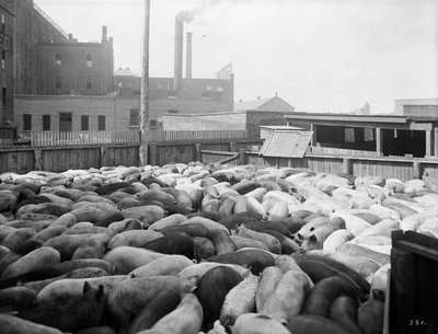 1818-first meat packing plant started in cincinnati became known as ...