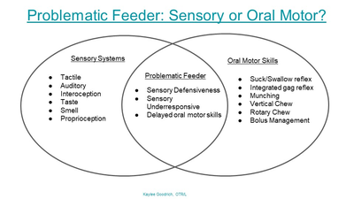https://www.theottoolbox.com/pediatric-feeding-is-it-sensory-oral/