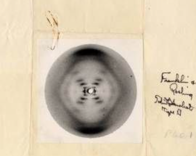 1952: At the point little was known about DNA structures, Rosalind ...