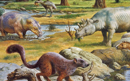The paleogene period saw the evolution of animals, including the ...