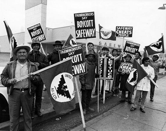 UFW boycott of Safeway in 1969 over their selling California grapes.