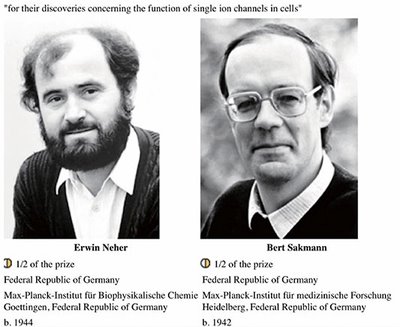 Neher y Sakmann (1991) desarrollan la técnica del “Match Clamp ...