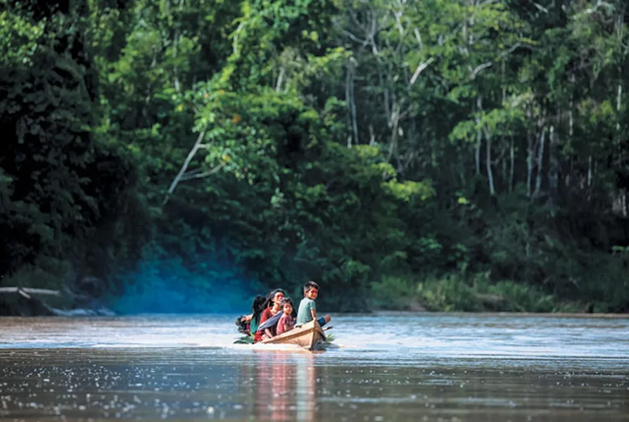 Comandulli, C. S., & Apiwtxa Association. (2022, May). This Amazonian ...