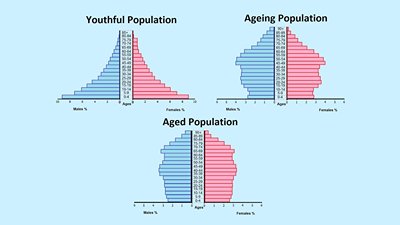 Demography: Study of population characteristics and trends.