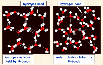 Insulation of Bodies of Water: Ice floats in liquid because hydrogen ...