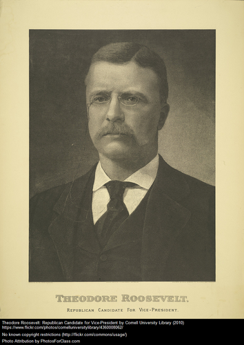 Who (alyssa) : Theodore Roosevelt was a man who was the first modern U ...