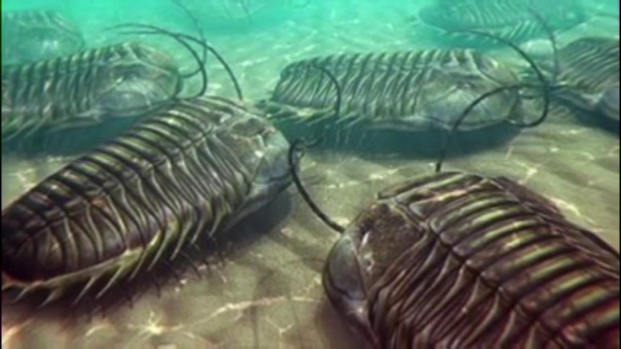 Cambrian Period