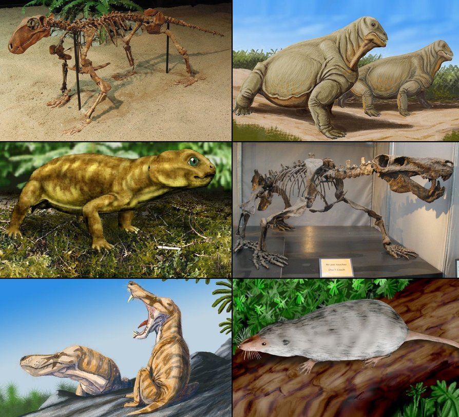 T herapsids (275 million years ago)