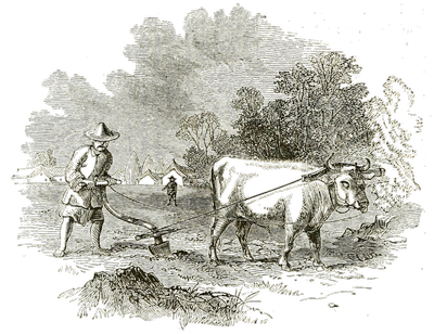 This is farming before the industrial revolution. They used animal ...