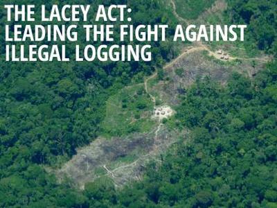 Lacey Act 1900
