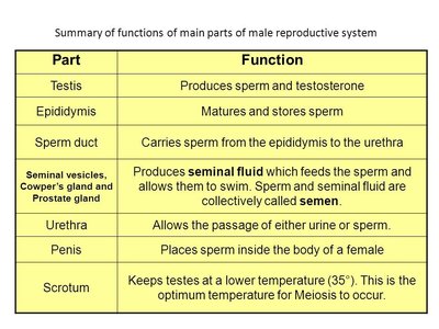 to those students that found difficulty in understanding the prevuious ...