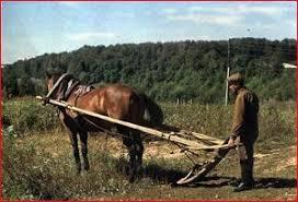 http://paleoglot.blogspot.com/2010/09/sowing-wild-oats-and-plowing ...