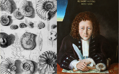 Notes, Ferwen. “The Geological Observations of Robert Hooke.” Letters ...