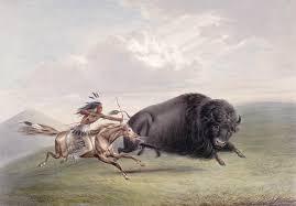 The Métis buffalo hunt in the Red River regions
