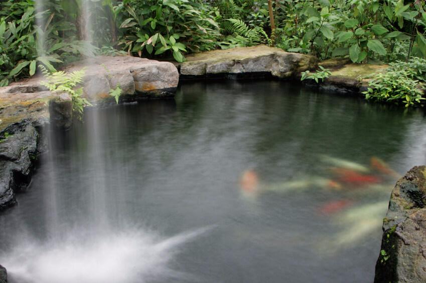 The Soaking pond