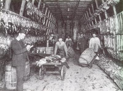 Packingtown conditions are gruesome and unsanitary