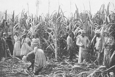 https://daily.jstor.org/sugar-has-always-been-bad/