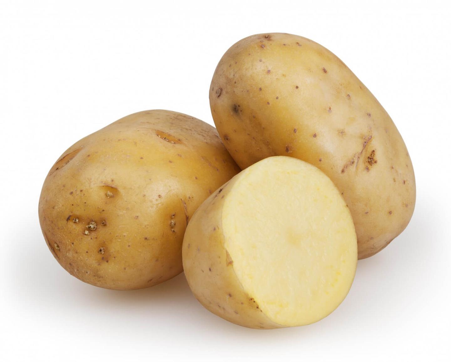 The Potato was an important plant during the Columbian Exchange. It ...