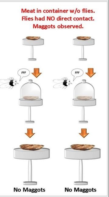 Eksperimen Francesco Redi pada 1968