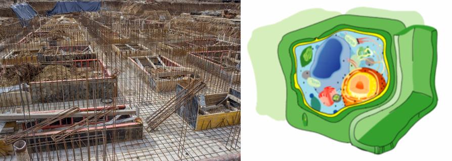 Building foundation Cell wall