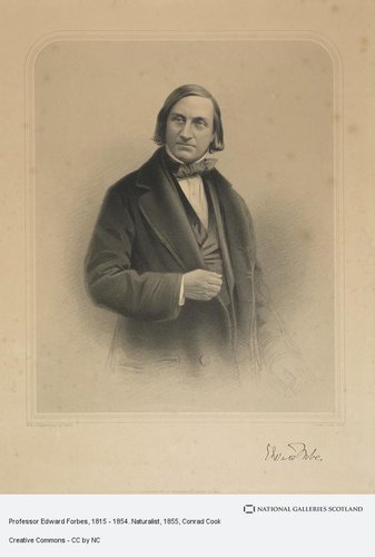 Edward Forbes. Image from nationalgalleries.org