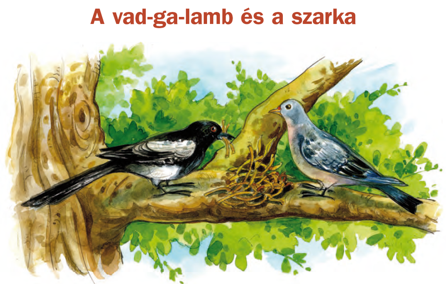 Olvassuk el a tankönyv 16. oldalán a mesét!