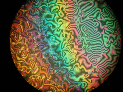 1888 Liquid Crystals (Charini Urteaga)
