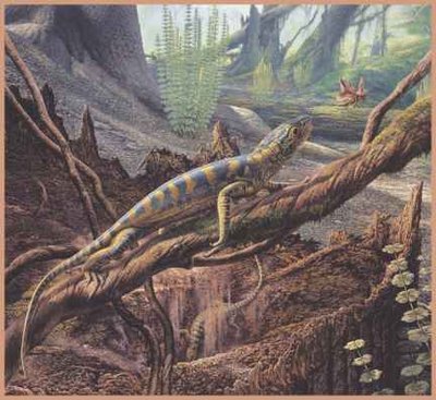 The First Reptile