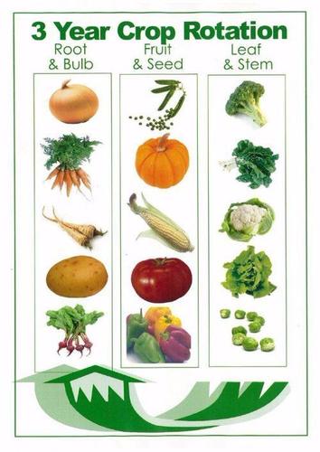 Three Year Crop Rotation:
