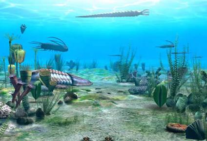Cambrian period