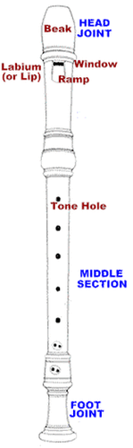 These are ALL of the parts of the recorder. Be sure that you can name ...