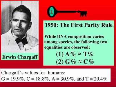 Erwin Chargaff Dna
