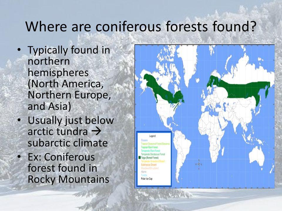The Boreal Forest we saw covering much of Canada also covers a large ...