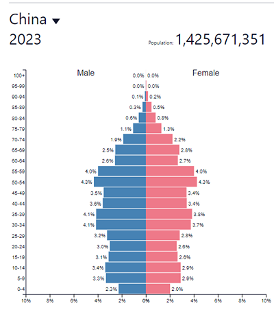 Examine China's 2023 Population Pyramid
