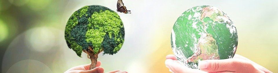 Dóra Radicsné Papp