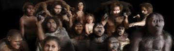 Hominids