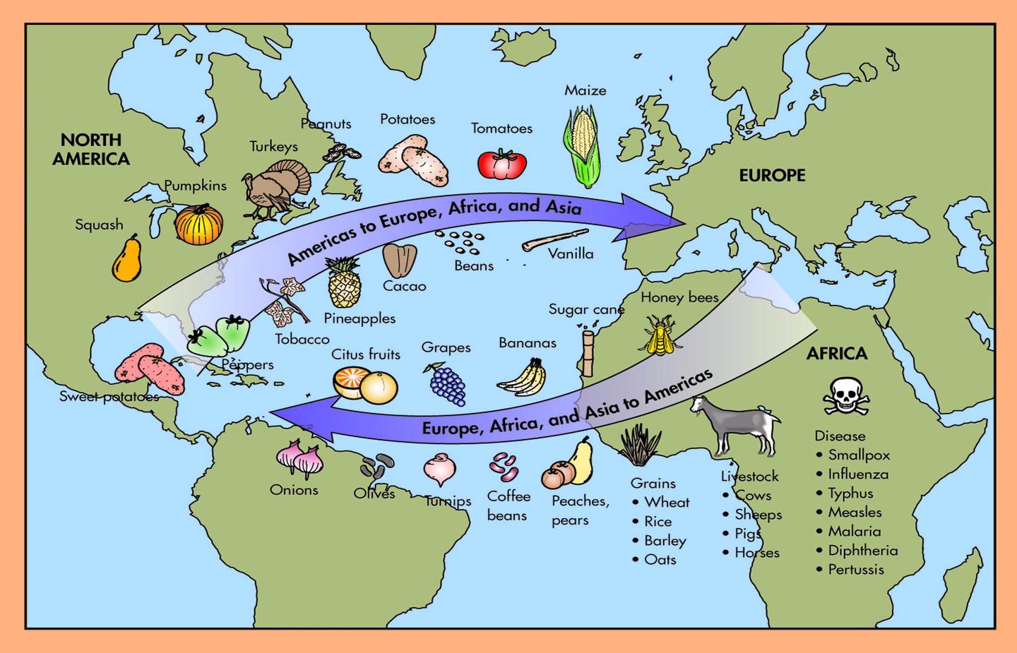 https://www.tes.com/lessons/Kg9NGkGrY510Tw/columbian-exchange