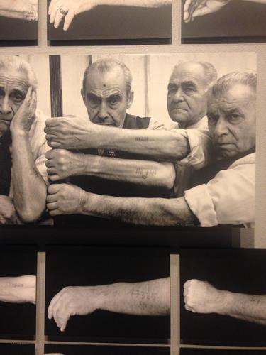 Numbers tattooed on the Jews arms used as an identity.