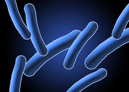 First evidence of life: 3,700,000,000 years ago