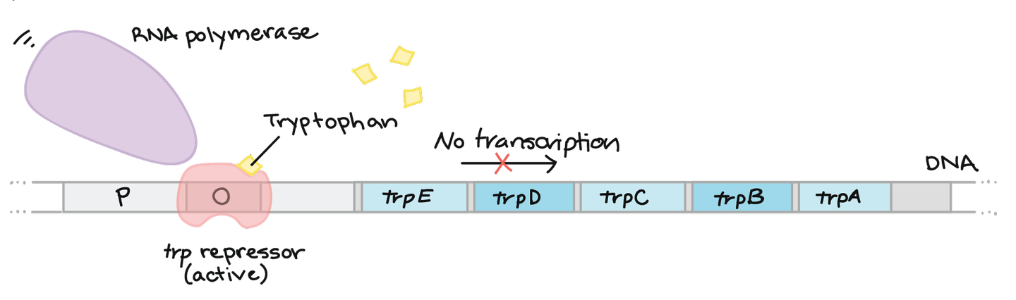 To print the story please do so via the link in the story toolbar.