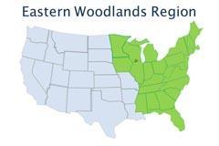 The region highlighted in green is the Eastern Woodlands