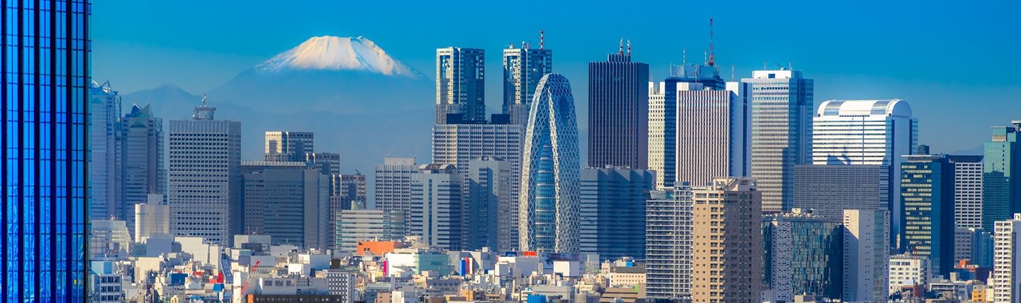 Tokyo Skyline, Japans biggest city