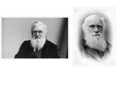 Russel Wallace and Charles Darwin