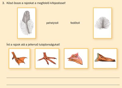 Nézzük meg a munkafüzetben a 3. feladatot!