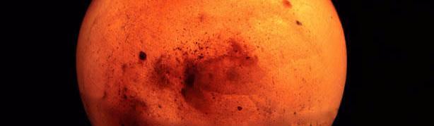 By Hollie van Velzen.