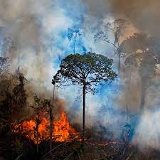 Harvey, F. (2020, October 5). Amazon near tipping point of switching ...