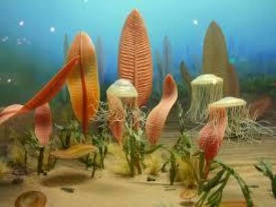 Proterozoic Eon (2,500mya to 541mya)